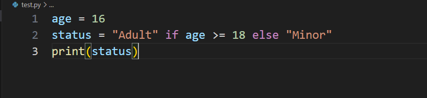 Python If-Else Examples That Truly Make Sense | OpenPython